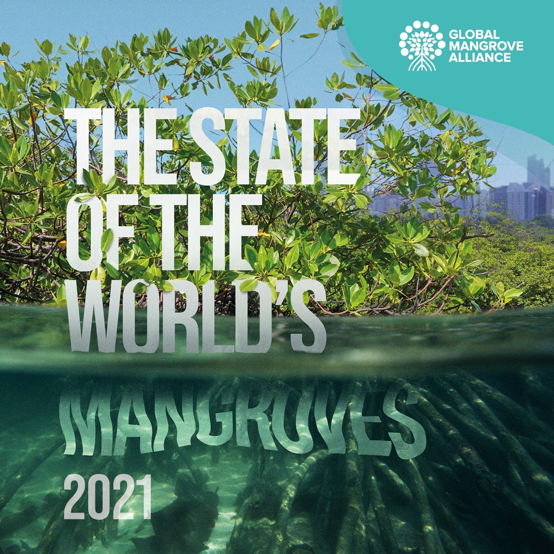 The Mangrove Alliance The Mangrove Alliance